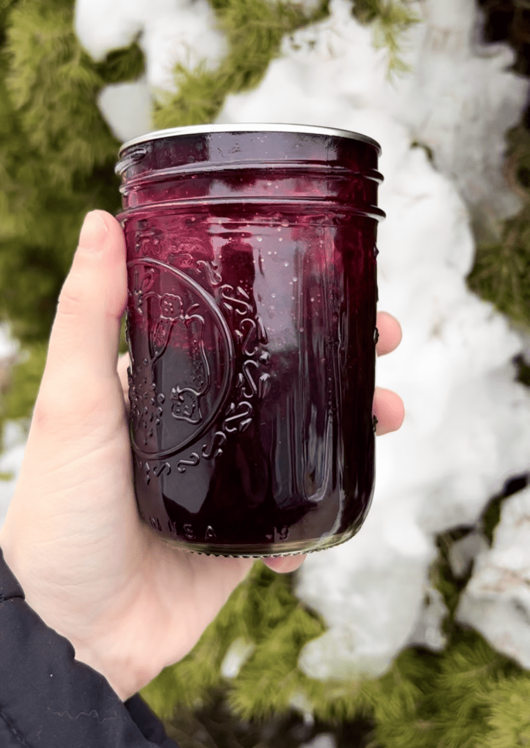 Canned Blueberry Syrup | NESCO