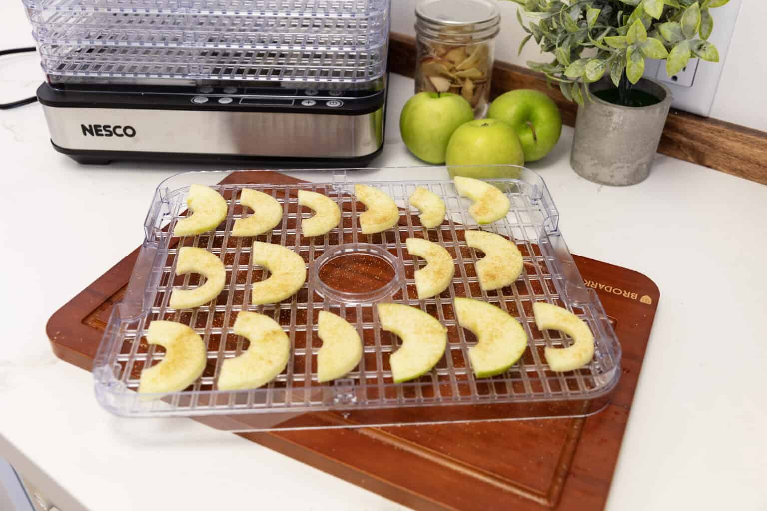 Dehydrated Apple Chips | NESCO